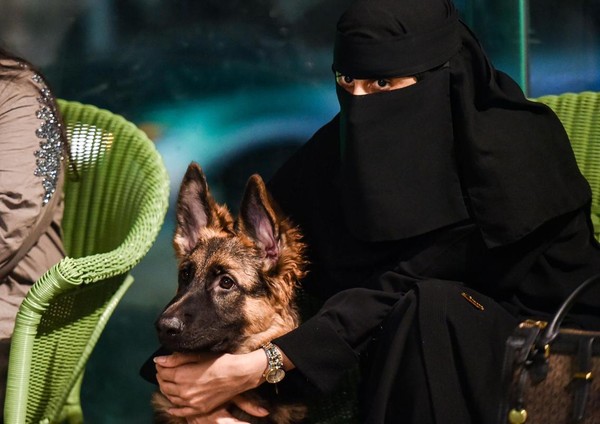 Potret Kafe Anjing Pertama di Arab Saudi