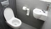 Apa Itu WC? Ternyata Ini Sejarah dan Kepanjangannya