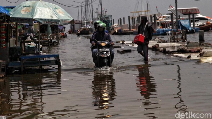 Potret Banjir Rob yang Kembali Terjang Muara Angke