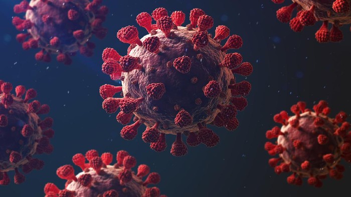 Apa Penyebab Adanya Virus Corona? Ini Jawabannya untuk Diingat Lagi Apa Penyebab Adanya Virus Corona? Ini Jawabannya untuk Diingat Lagi