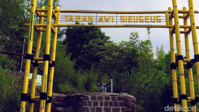 Foto: Kebun Raya Kuningan yang Sejuk Buat Liburan