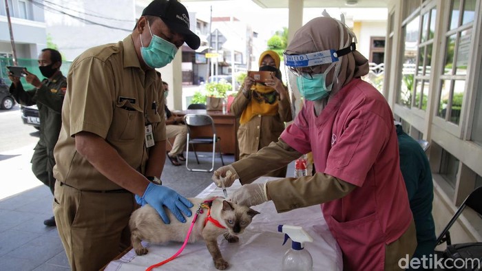 Pemkot Jakut Gencar Suntik Vaksin Rabies
