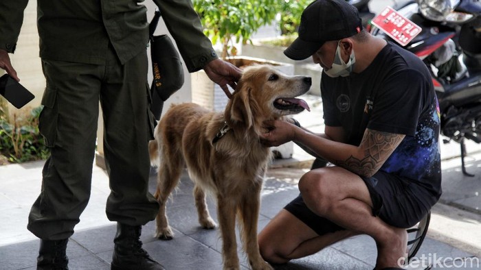 Pemkot Jakut Gencar Suntik Vaksin Rabies