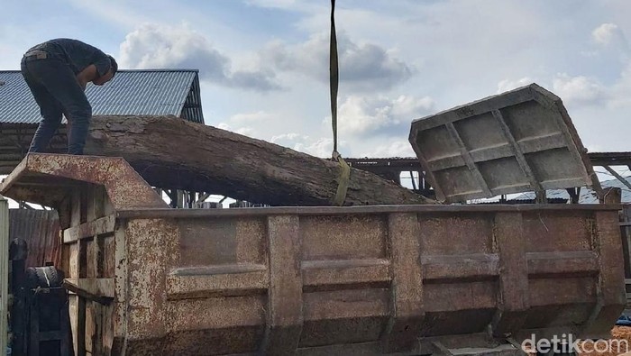 Foto: Ratusan Kayu Ilegal Diamankan di Kampar Riau
