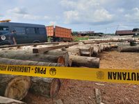 Polisi-KLHK Razia Sejumlah Sawmill di Riau, Ratusan Kayu Ilegal Disegel