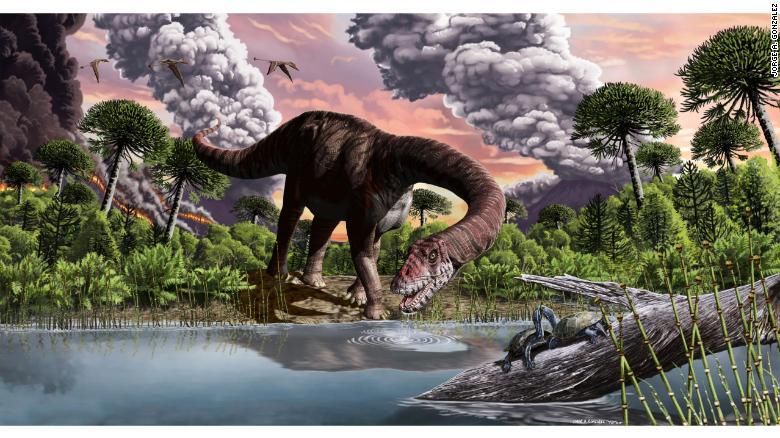 Mengapa Beberapa Dinosaurus Punya Leher yang Sangat Panjang? Mengapa Beberapa Dinosaurus Punya Leher yang Sangat Panjang?