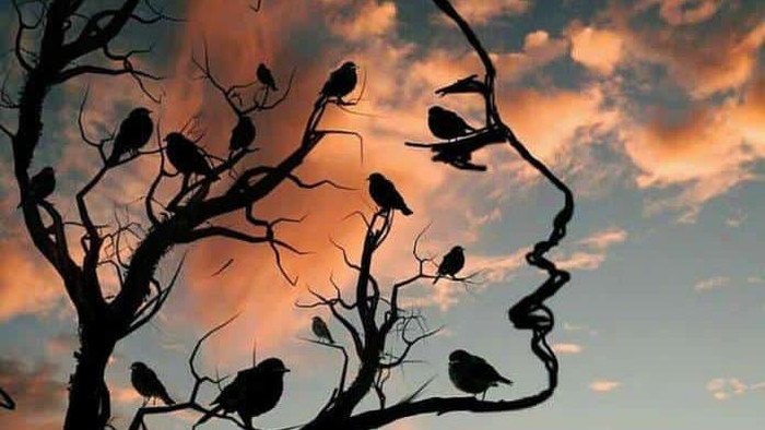 Tes Kepribadian: Gambar Pohon & Burung atau Wajah yang Pertama Kamu Lihat? Tes Kepribadian: Gambar Pohon & Burung atau Wajah yang Pertama Kamu Lihat?