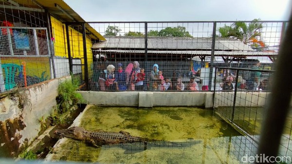 Foto: Serunya Libur Tahun Baru di Mini Zoo Kuningan