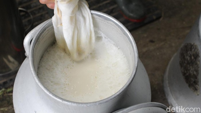 Produksi Susu Sapi Perah di Sleman Tak Terdampak Erupsi Merapi