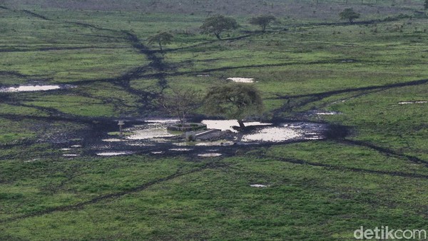 Panorama Africa van Java di Taman Nasional Baluran
