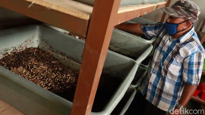 Mengenal Kang Pisman, Program Pengelolaan Sampah di Bandung