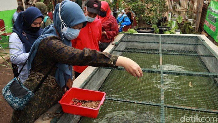 Mengenal Kang Pisman, Program Pengelolaan Sampah di Bandung