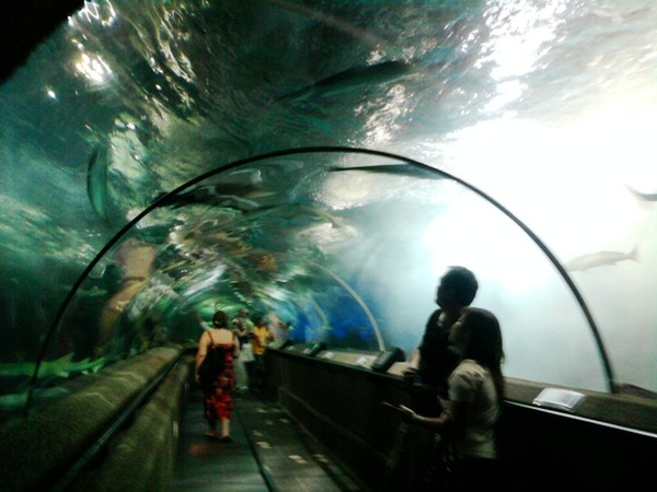 Backpacker ke Singapura Bareng Sahabat