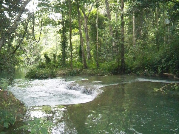 Berburu Kesegaran di Air Terjun Salodik
