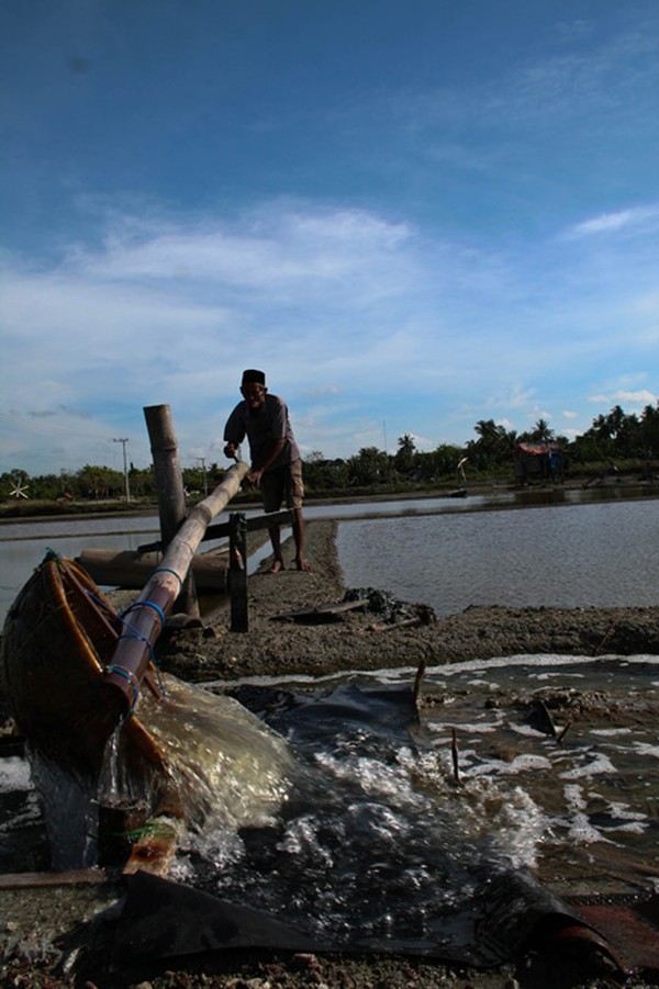Bertani di Pulau Garam