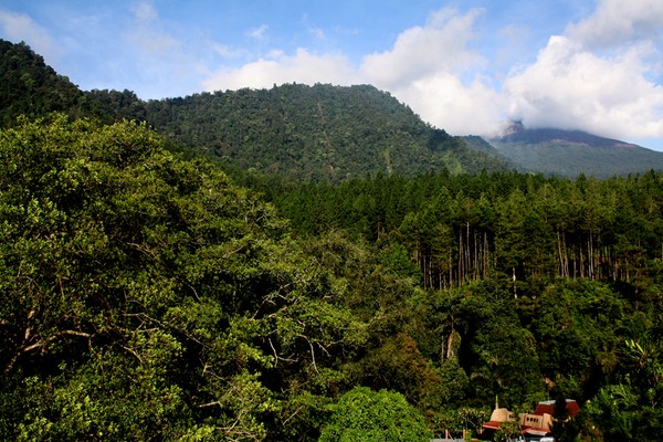 Guci, The Alpen of Tegal