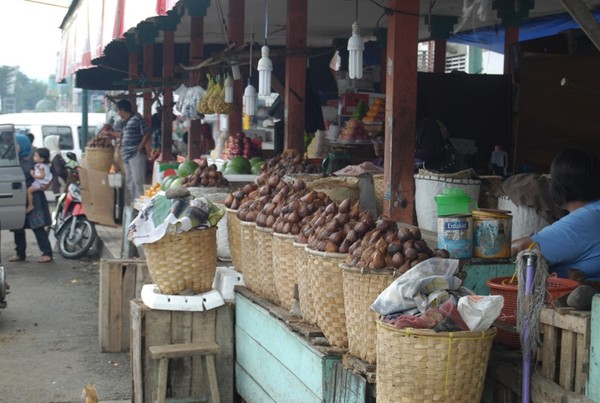 Menelusuri Kota Salak Padang Sidimpuan