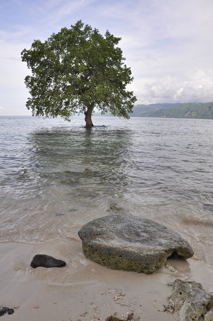Pantai Mali , Pulau Alor