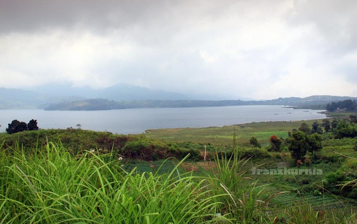 Sejuknya Kebun Teh dan Danau Kembar, Solok, Sumatera Barat
