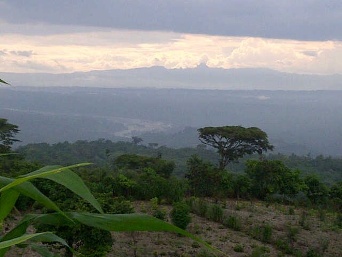 Soe di NTT, Hutan Twilight Ala Indonesia