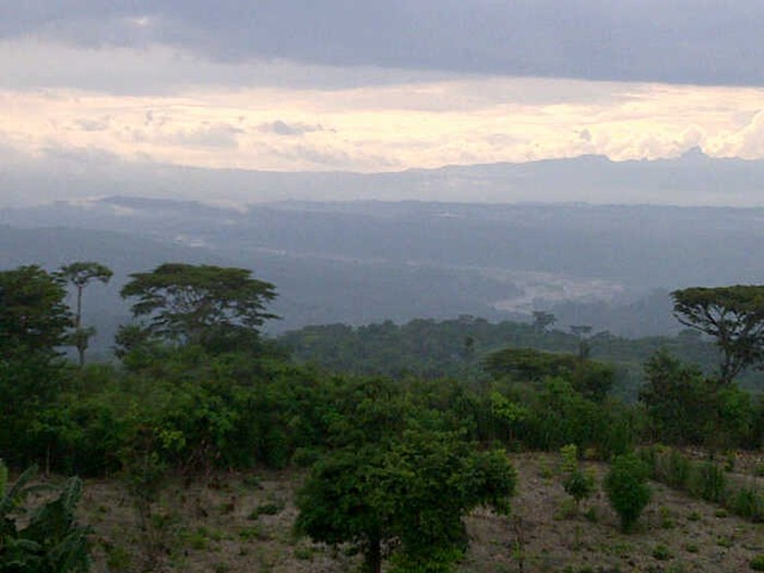 Soe di NTT, Hutan Twilight Ala Indonesia