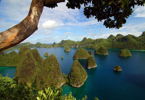 Wah! Raja Ampat Jadi Ikon Promosi Pariwisata RI di Swiss