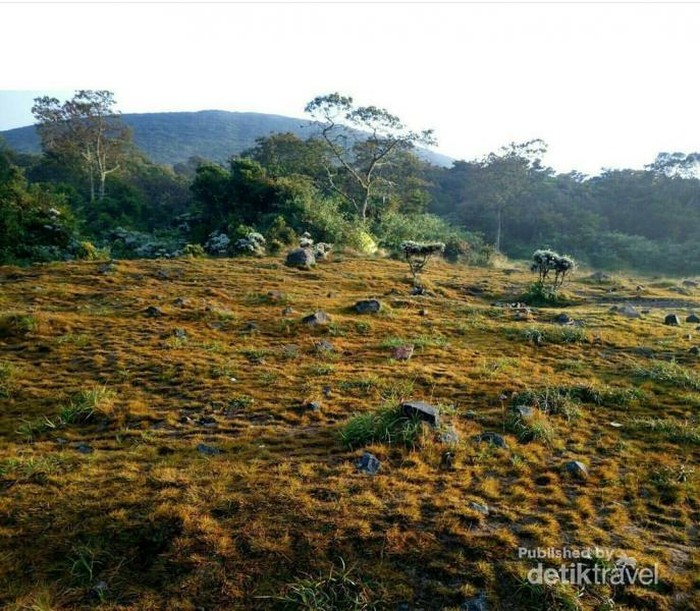 5 Alasan Mengapa Kamu Harus ke Alun-alun Surya Kencana
