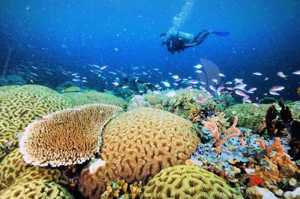 5 Alasan Wisatawan Kepincut Halmahera Barat