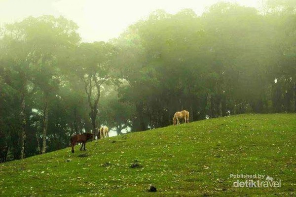 5 Tempat Indah di Timor Tengah Selatan