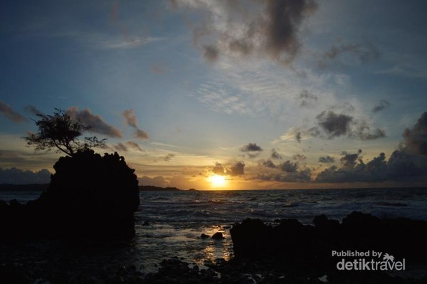 7 Alasan Kamu Wajib Liburan ke Pulau Peucang