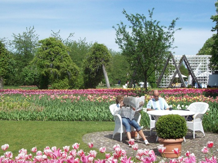 Aiih! Cantiknya Tulip Jerman di Musim Semi