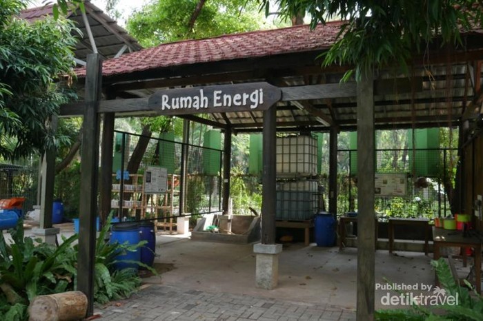 Aneka Aktivitas Menarik di Learning Farm Ancol