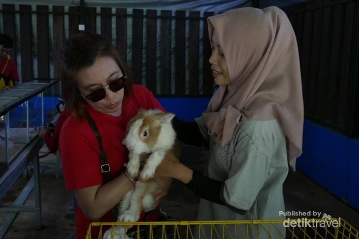 Aneka Aktivitas Menarik di Learning Farm Ancol