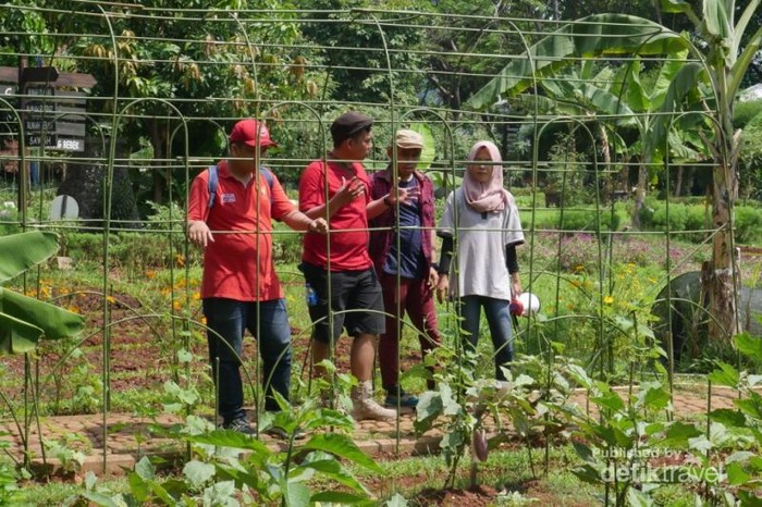 Aneka Aktivitas Menarik di Learning Farm Ancol