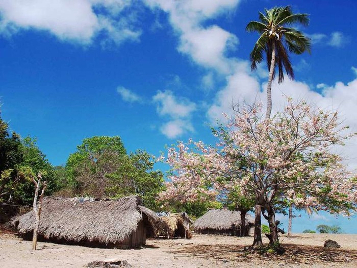 Asli Cantik, Si Pantai Oeseli di Pulau Rote, NTT
