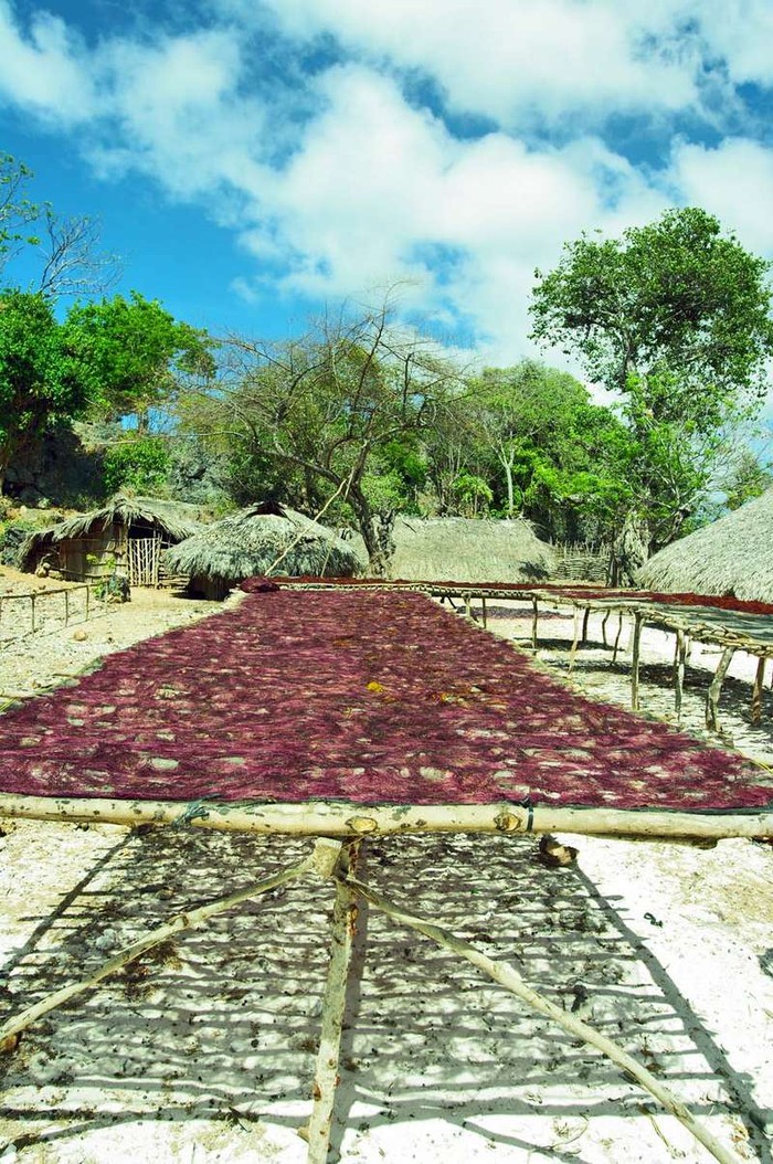 Asli Cantik, Si Pantai Oeseli di Pulau Rote, NTT
