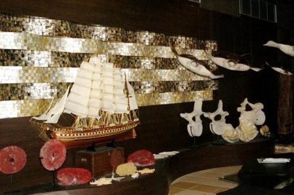 Bali Shell Museum, Satu-satunya Museum Kerang di Indonesia