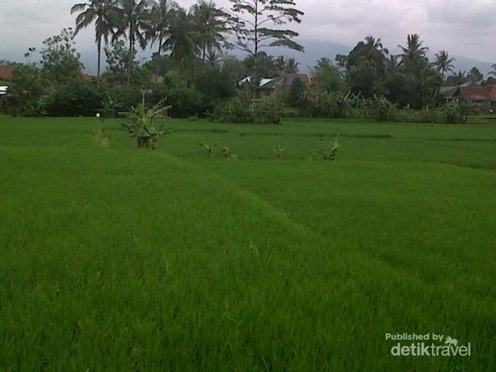 Berburu Cantiknya Batik Priangan Khas Tasikmalaya
