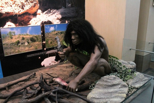 Berwisata Alam Mengenal Batuan Di Museum Karst