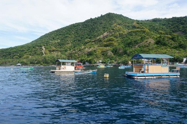 Cantiknya Taman Laut Olele di Gorontalo