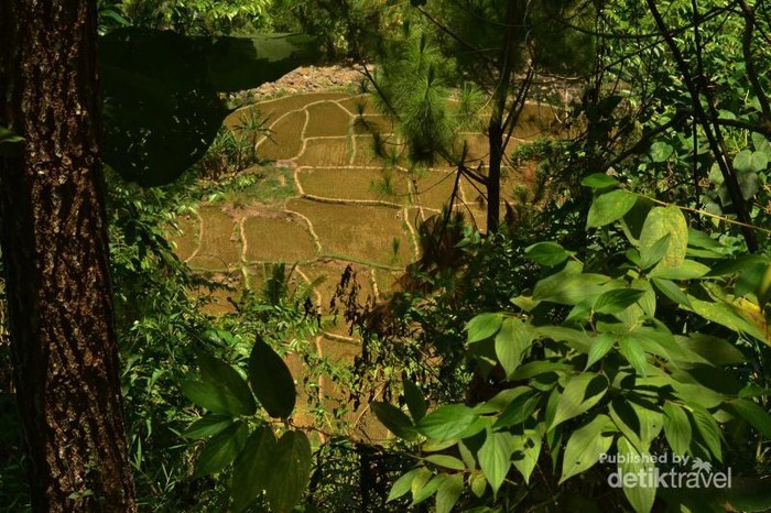 Curug Bentang, Pesona Alam Tersembunyi di Subang