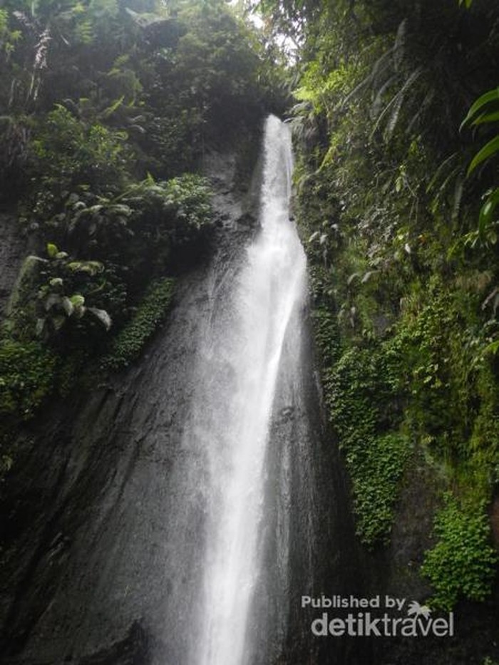 Curug Cibogo & Ciismun, 2 Air Terjun Cantik di Cibodas