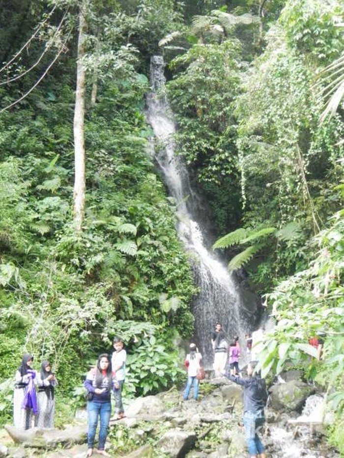 Curug Cibogo & Ciismun, 2 Air Terjun Cantik di Cibodas