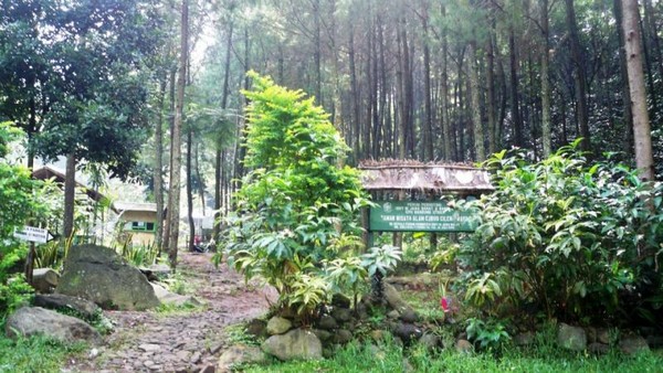 Curug Cilengkrang, Air Terjun Tersembunyi di Timur Bandung
