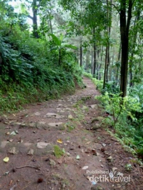 Curug Semirang, Kesegaran Tersembunyi di Ungaran