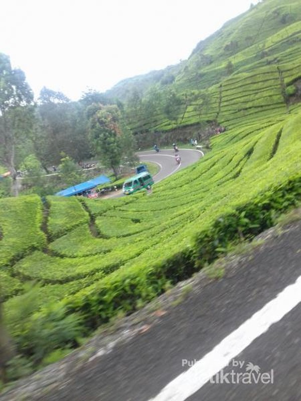 Curug Tilu yang Tersembunyi di Perkebunan Teh Bandung