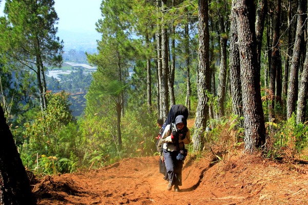 Dahsyatnya Panorama dari Puncak Gunung Burangrang