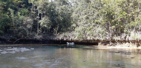 Danau Tobelo, Keindahan Tersembunyi di Pulau Labengki