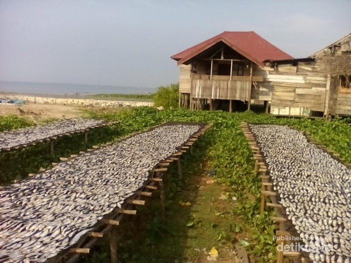 Di Pantai Ini, Nelayan Bugis Adakan Pesta Laut Setiap Tahun
