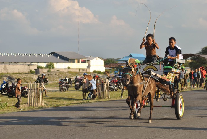 Dokar, Kereta Kuda Khas Palu